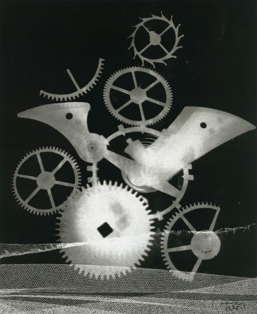 Man ray_plate6_ Untitled Rayograph_1924 – Dialect 方言社
